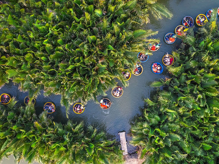 Coconut Season: Delightful flavors and culinary treasures - tuyphongimex